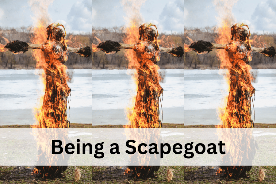 Being a Scapegoat: 5 Powerful Ways to Put a Stop to It - The Ultimate ...